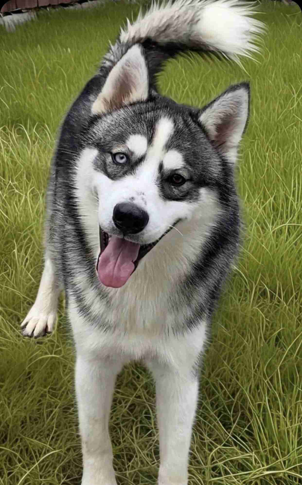 Daisy Duke - First Light Farms